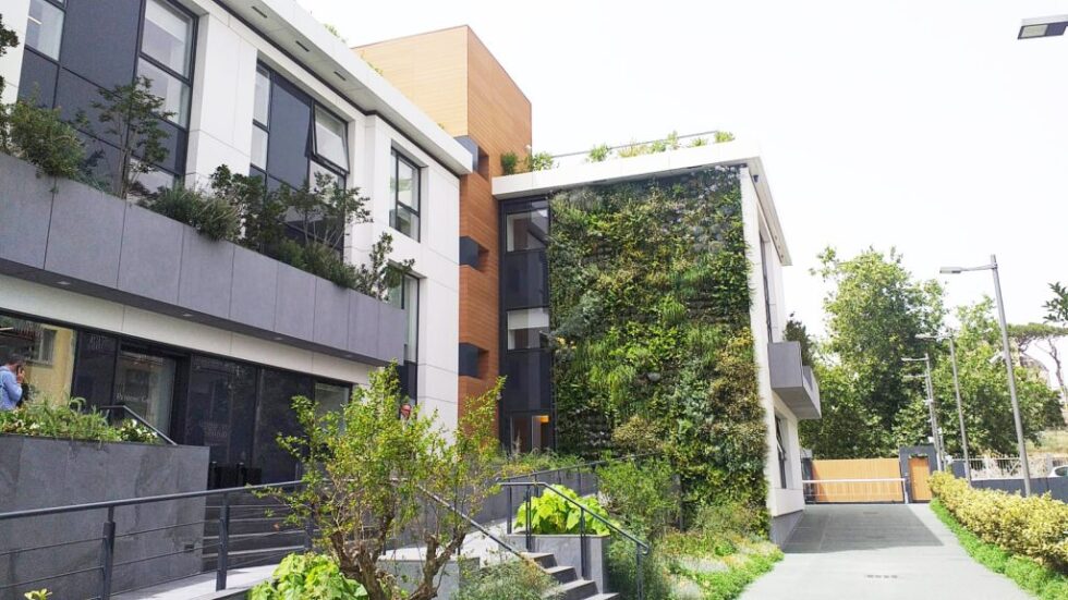 PETRONE GROUP - Adhera
